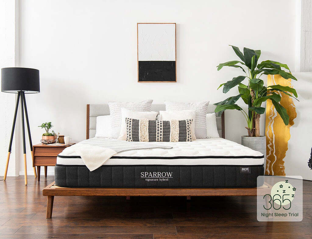 Nest alexander signature hybrid reddit store